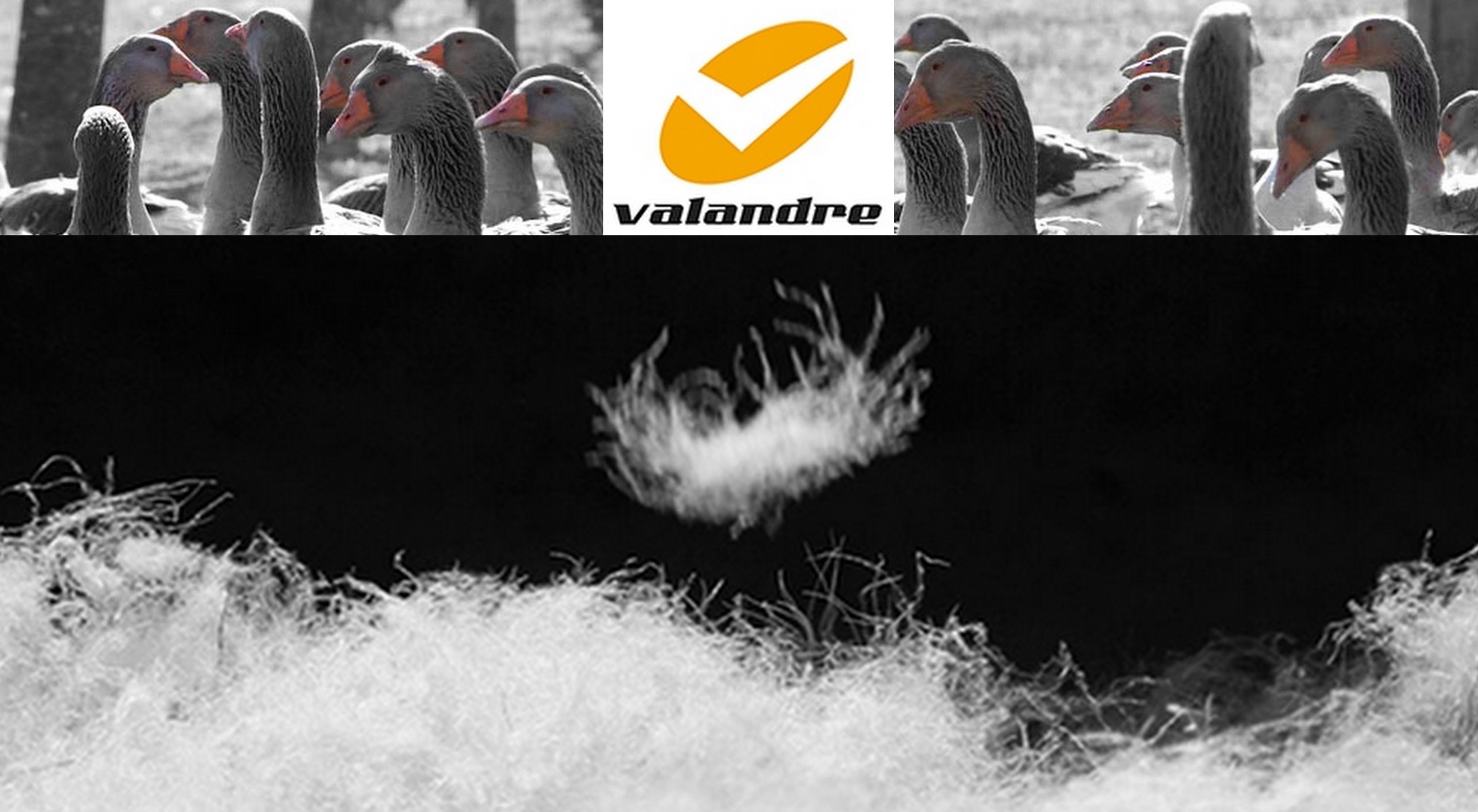 特價 Valandre Odin 奧丁 高海拔遠征羽絨睡袋 638MD 850FP 法國製 零下20度C | 台北山水戶外用品專門店直營店 ...