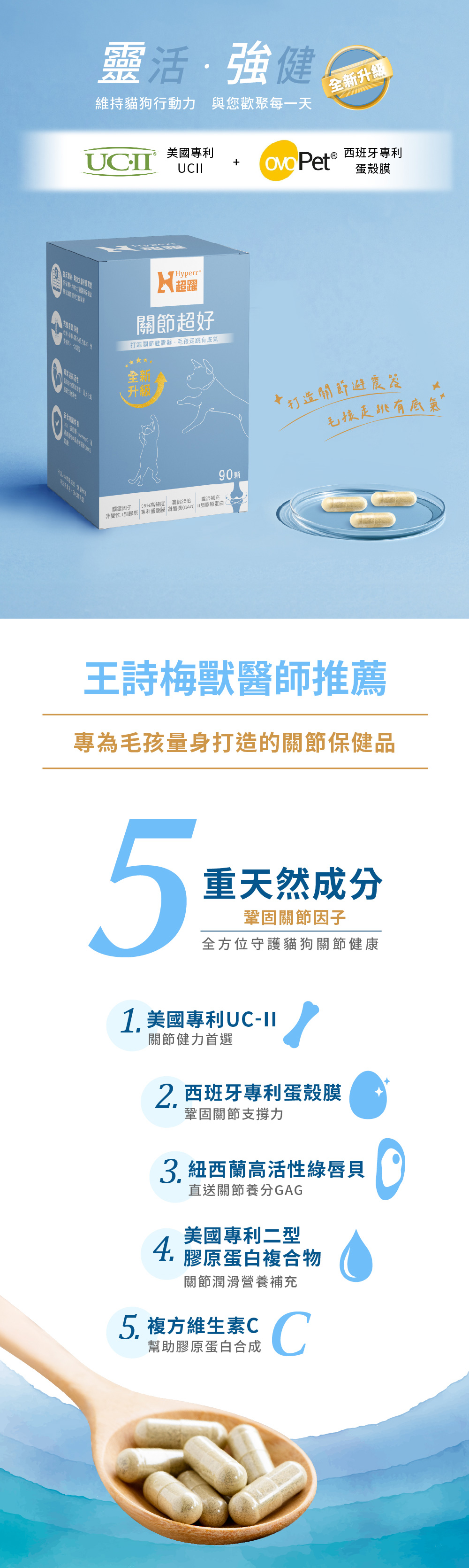 美國專利UC-II 關節超好 | 營養保健 | SofyDOG - Rakuten樂天市場